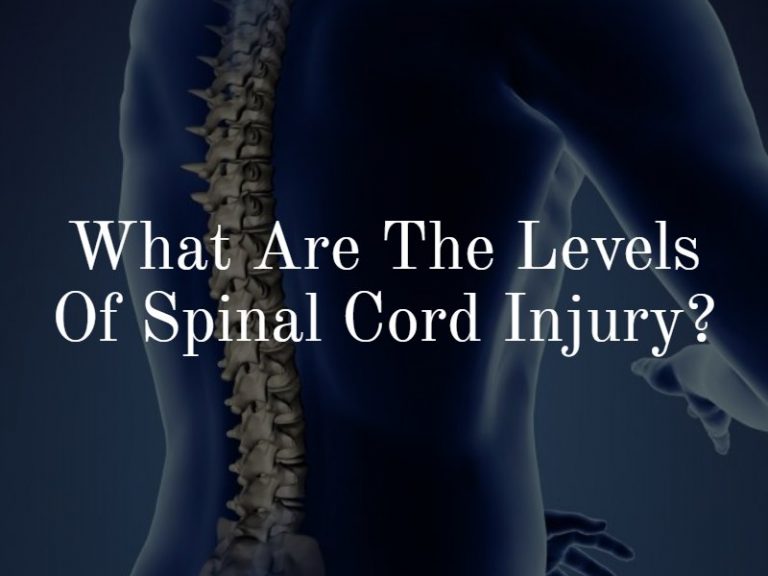 What are the Levels of Spinal Cord Injury?